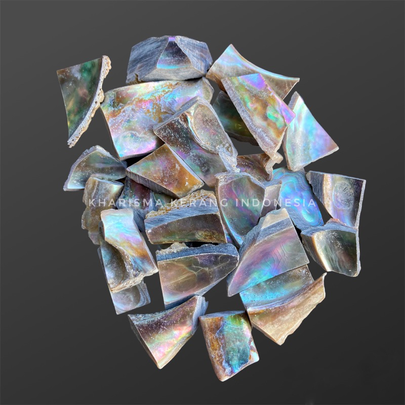 Jual Crushed Abalone Shell 100gram Pecahan Kerang Abalon by Kharisma ...