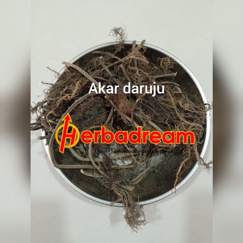 Jual 1 KG AKAR DARUJU ACANTHUS ILICIFOLIUS JERUJU DRUJU DERUJU MOUNTAIN ...