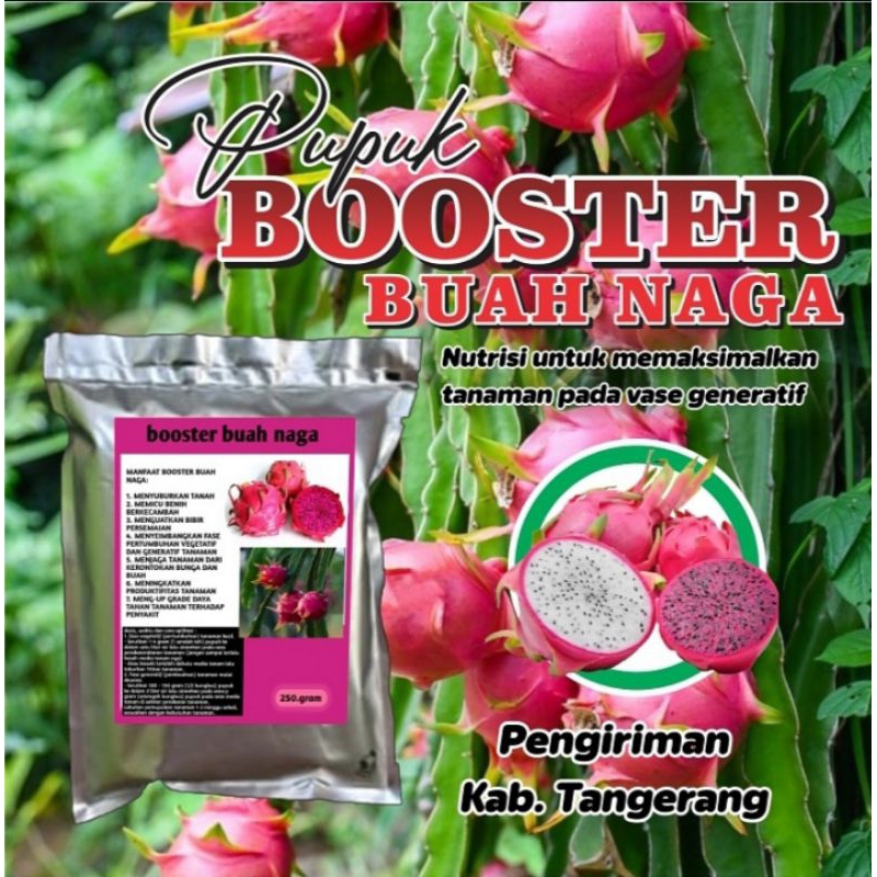 Jual Pupuk Booster Buah Naga dan pelebat buah Anti rontok 250 gram | Shopee Indonesia