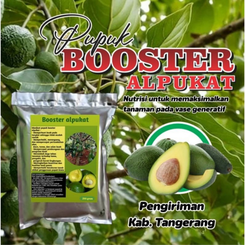 Jual Pupuk Booster Alpukat perangsang bunga dan pelebat buah anti rontok 250 gram | Shopee Indonesia