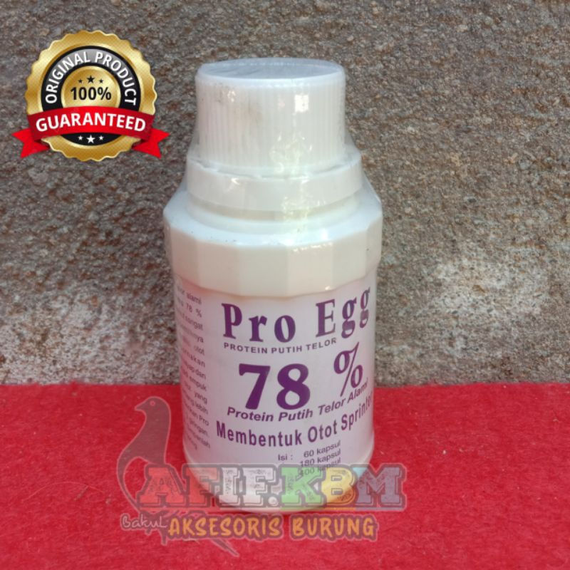Jual Pro Egg Botol Segel 60 Kapsul Protein Putih Telor Pembentuk Otot ...