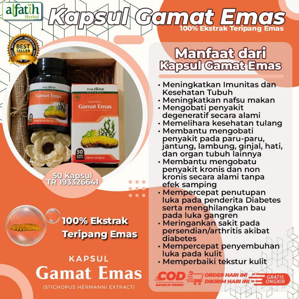Jual Kapsul Gamat Emas 100% Original Asli BPOM RI dan Halal MUI Obati ...