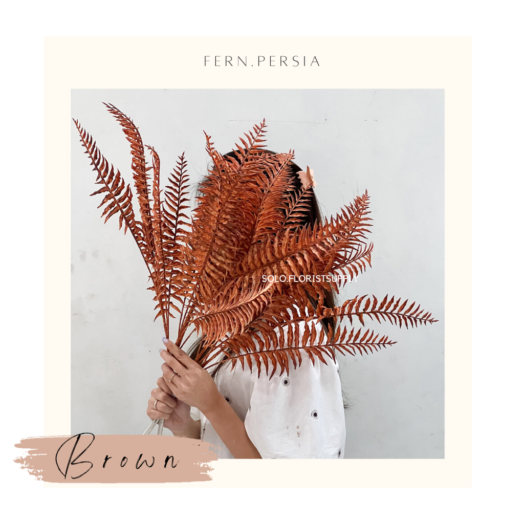 Jual 76cm FERN PERSIA BUNCH ARTIFICIAL Daun Fern Persia Panjang ...