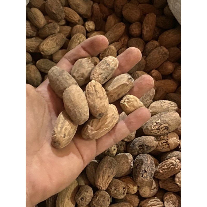 Jual Biji Pala Kupas Lonjong 250gr Pala - Kupas lonjong - biji Pala ...