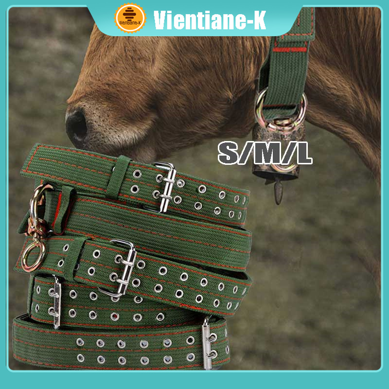 Jual Tali Tuntun Sabuk Kanvas Kerah Ternak Kerah Pengangkutan Untuk ...