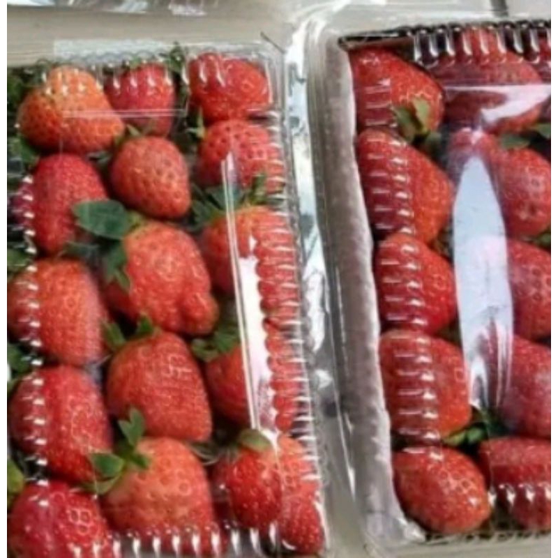 Jual STRAWBERRY FRESH ( HARGA 1 PAK ) | Shopee Indonesia