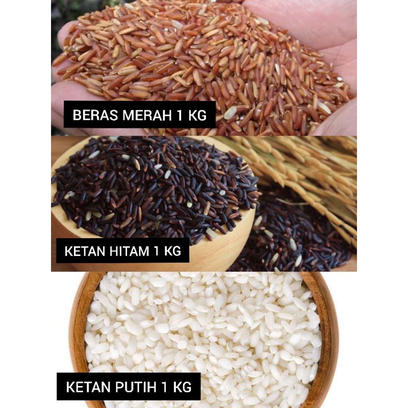 Jual PAKET BENIH PADI ( KETAN HITAM 1 KG,BERAS MERAH 1 KG,KETAN PUTIH 1 ...