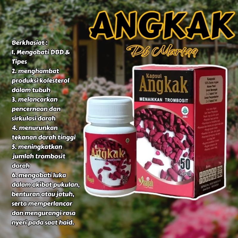 Jual Kapsul Angkak INAYAH ASLI - Isi : 60 kapsul @500mg | Shopee Indonesia