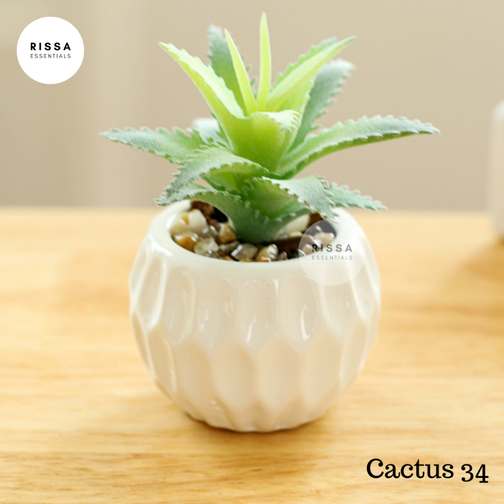 Jual [RISSA] Mini Kaktus Sintetis Cactus Palsu Kecil Tanaman Pot Palsu ...