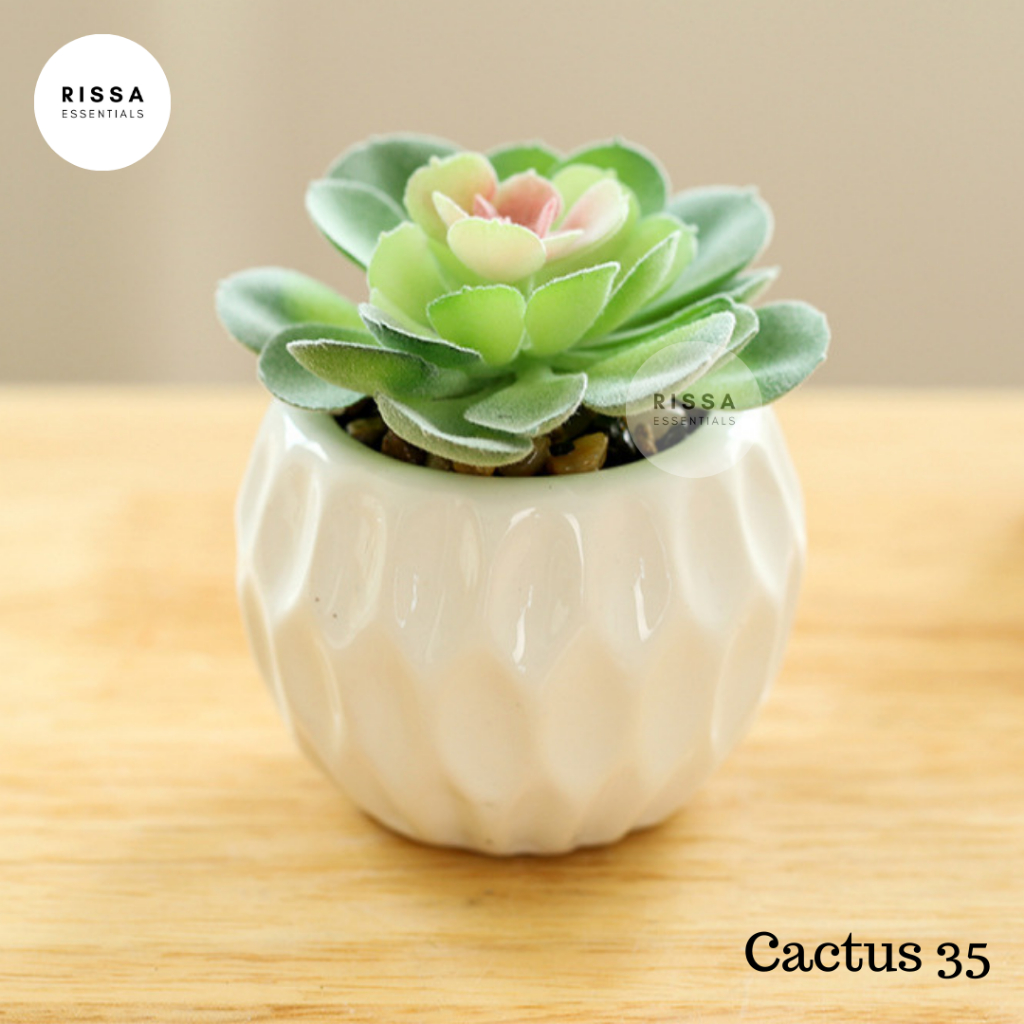 Jual [RISSA] Mini Kaktus Sintetis Cactus Palsu Kecil Tanaman Pot Palsu ...
