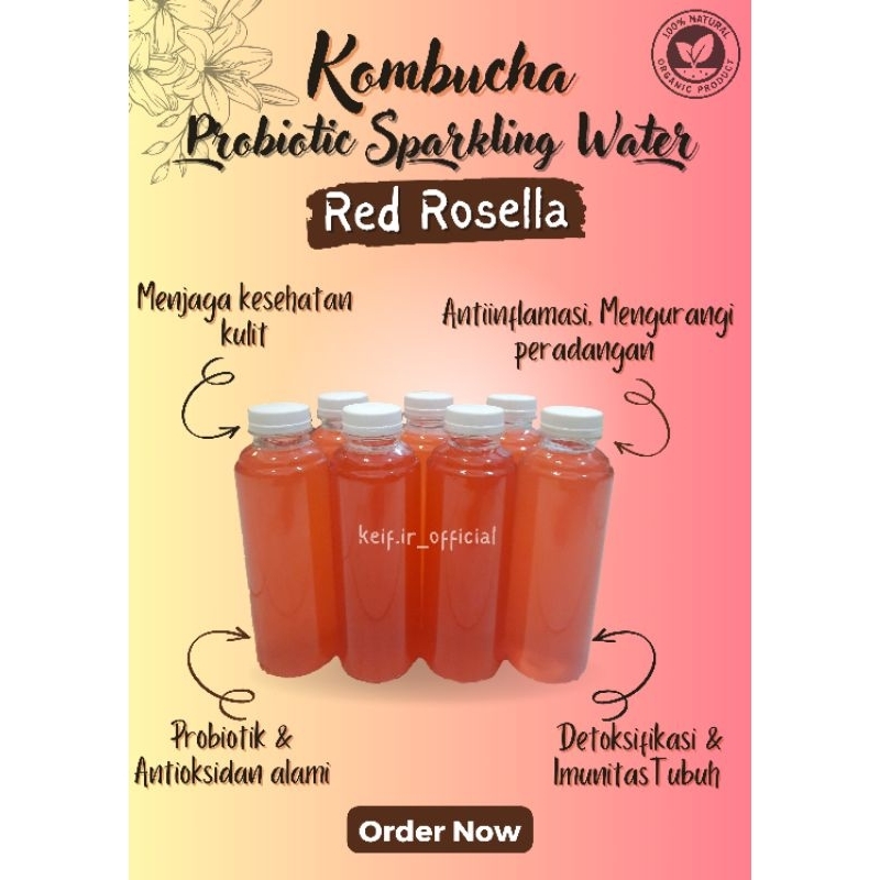 Jual KOMBUCHA, Probiotik Sparkling Water, RED ROSELLA 250ml | Shopee ...