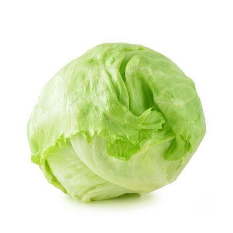 Jual Head Lettuce | Selada Iceberg | Selada Salad 500gr| naga_exspress ...