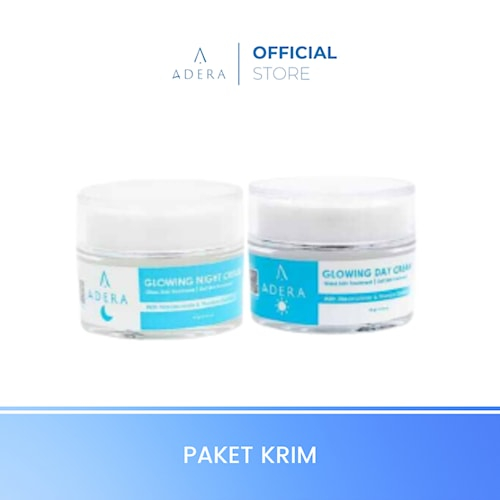 Jual PAKET KRIM (NIGHT CREAM+DAY CREAM) (PRIM) | Shopee Indonesia