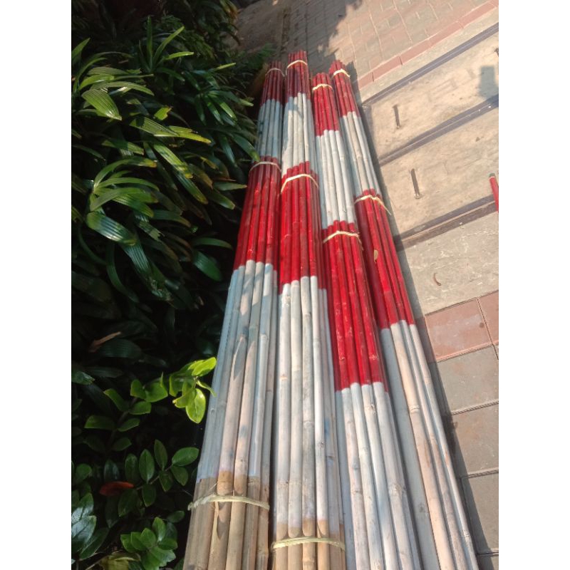 Jual BAMBU MERAH PUTIH PANJANG 2 METER HARGA PER PCS | Shopee Indonesia