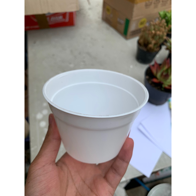 Jual Pot putih 10 CM | Shopee Indonesia