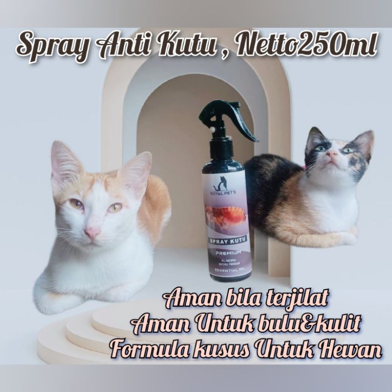Jual Spray Anti Kutu Obat kutu kucing Spray 250ml | Shopee Indonesia
