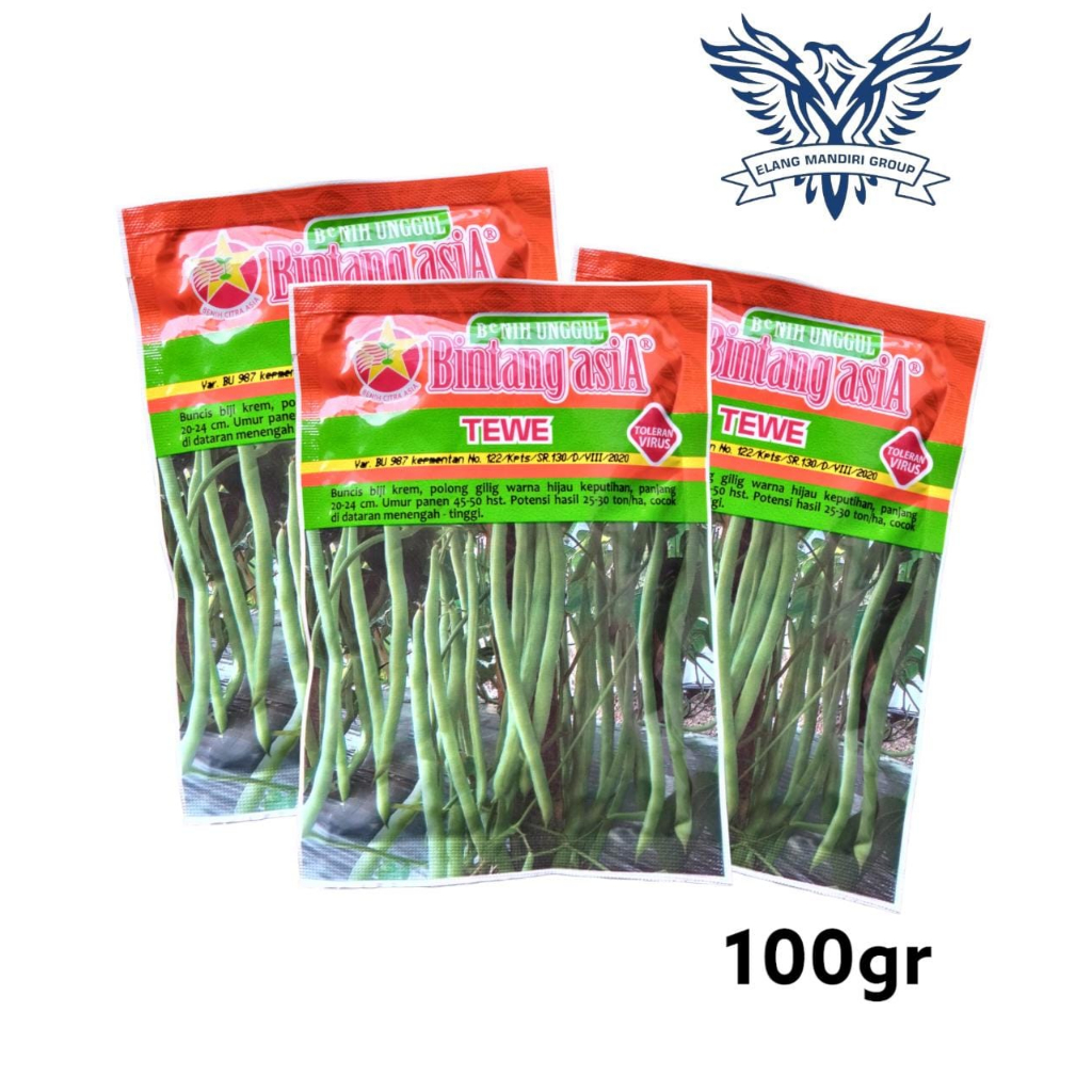 Jual Tewe 100gr Benih Buncis Bintang Asia 100% Origina Beniih Inti ...