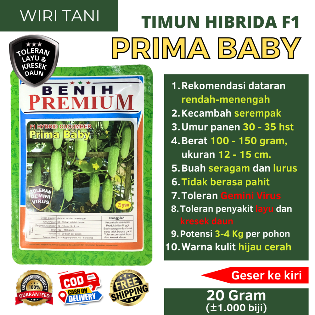 Jual [COD] Benih Timun Kecil Hibrida F1 PRIMA BABY 20 gram (±1.000 biji ...