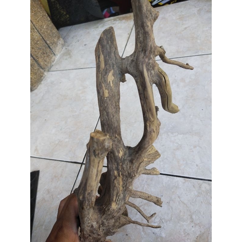 Jual Kayu tai.unik untuk koleksi hobby | Shopee Indonesia