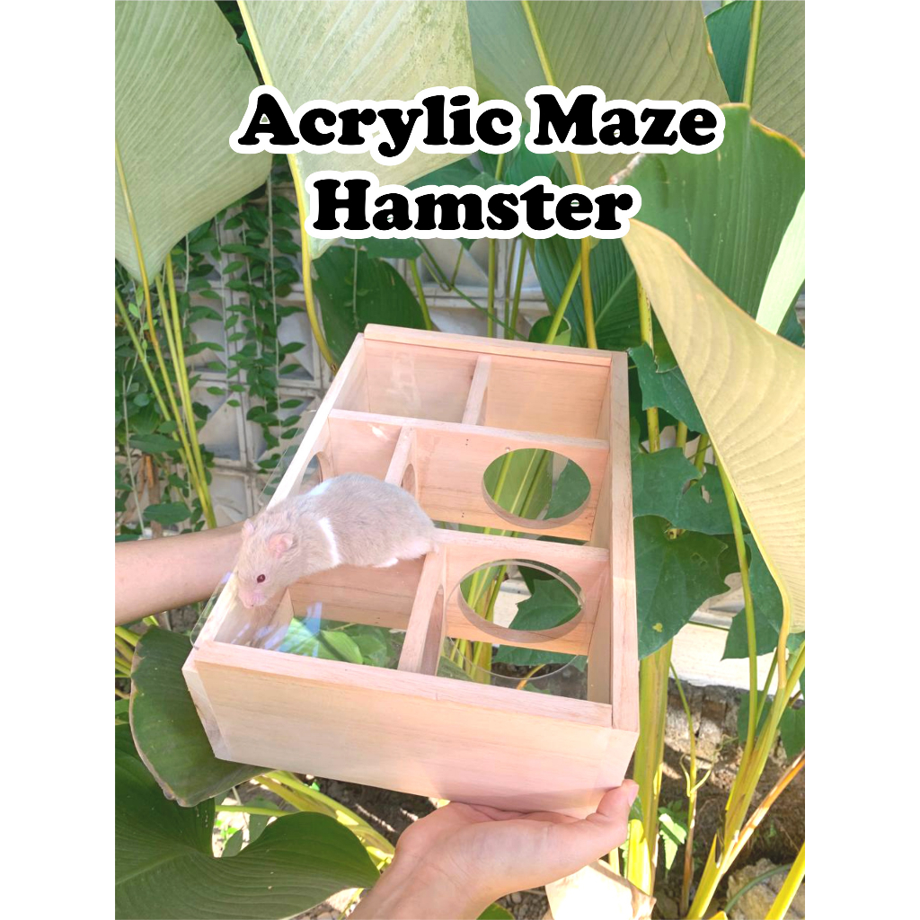 Jual Labirin Hamster Terowongan Hamster Acrylic Maze Hamster | Shopee ...