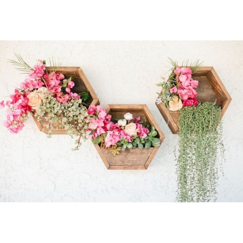 Jual hexagonal hiasan dinding/hexagonal pot bunga/rak pot bunga dinding ...