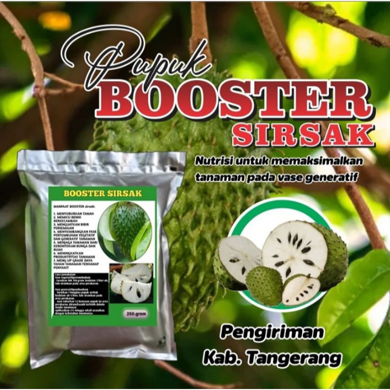 Jual Pupuk Booster Sirsak perangsang bunga dan pelebat buah anti rontok 250 gram | Shopee Indonesia