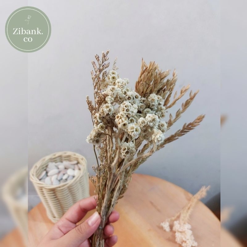Jual 1 Ikat Bunga Kering dried flowers aesthetic (bunganya saja ...