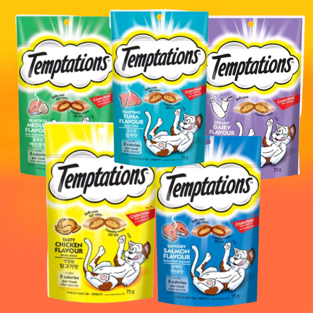 Jual TEMPTATION SNACK 75GRAM ALL VARIAN | Shopee Indonesia