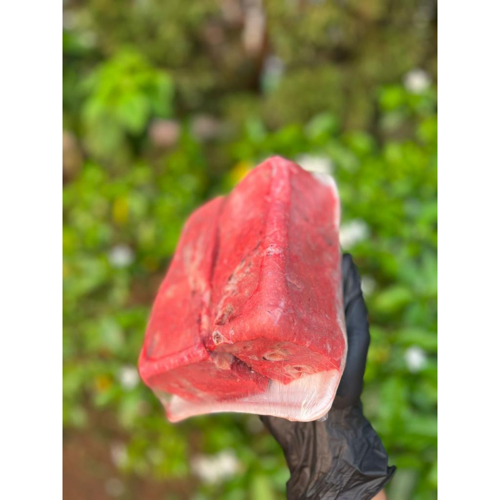 Jual PARU SAPI 1 KG | Shopee Indonesia