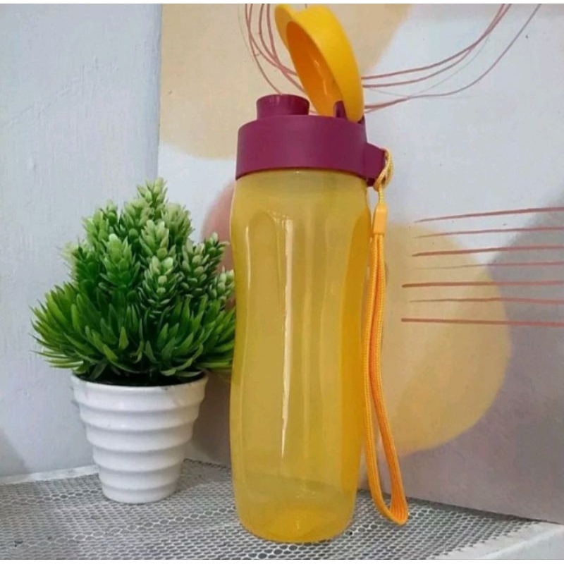 Jual eco fashion bottle 500ml tupperware / botol 500ml tupperware ...