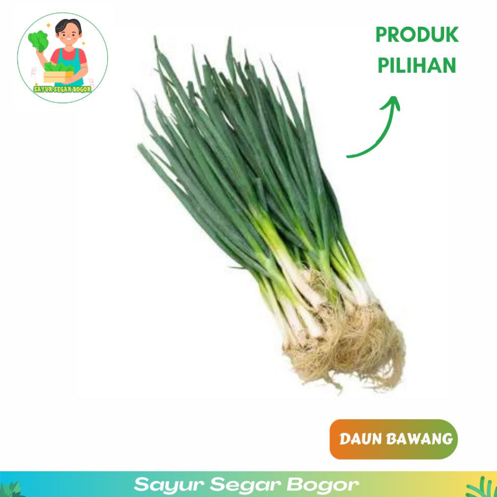 Jual Daun bawang Daun bawang segar Daun sop | Shopee Indonesia