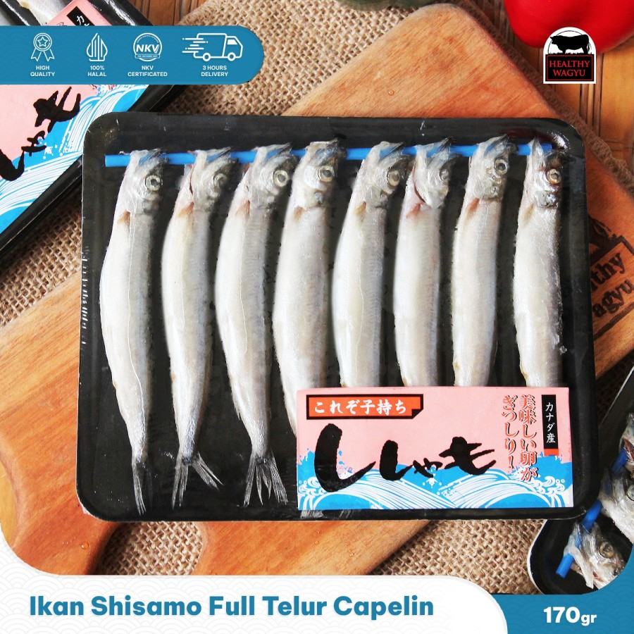 Jual Ikan Shisamo Full Telur Capelin Fish Premium Quality (Import 8 pcs ...