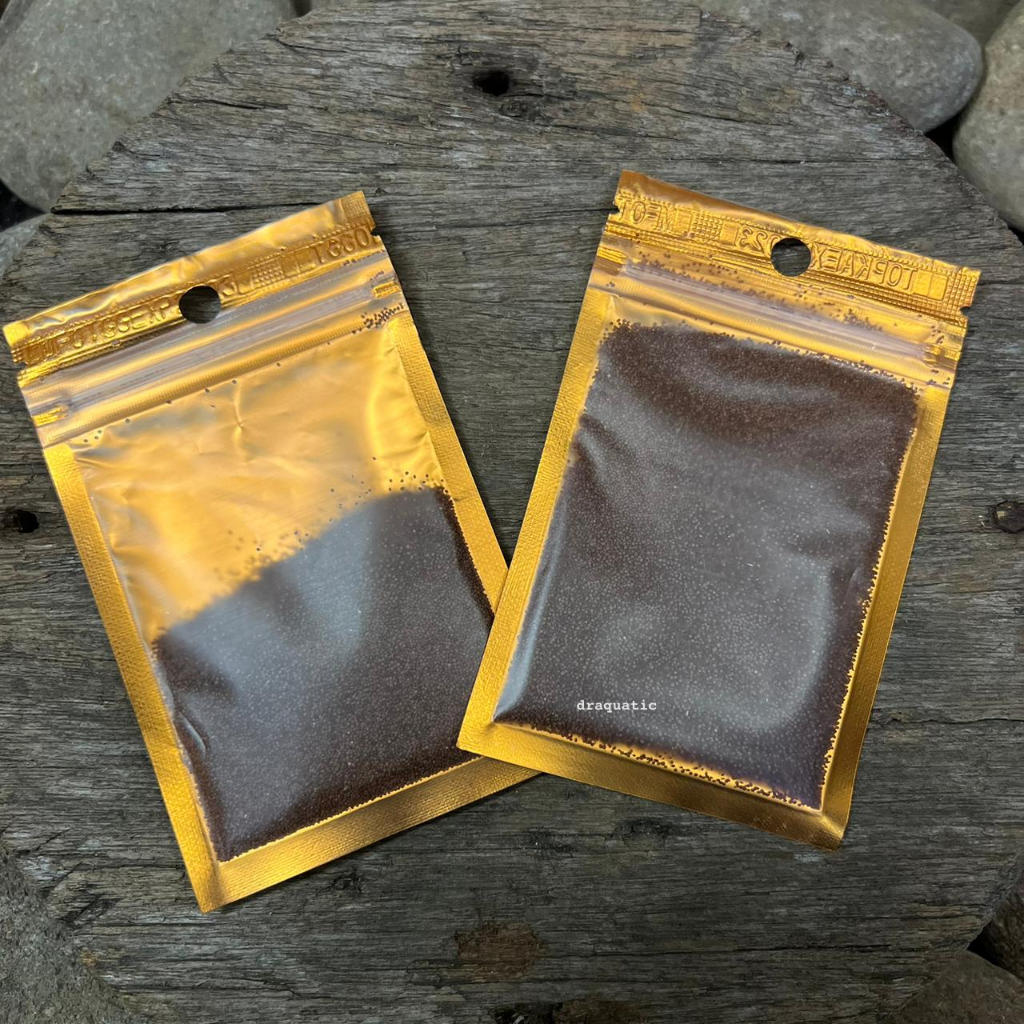 Jual Carpet seed bibit rumput mini dwarf aquarium aquascape. Sachet ...