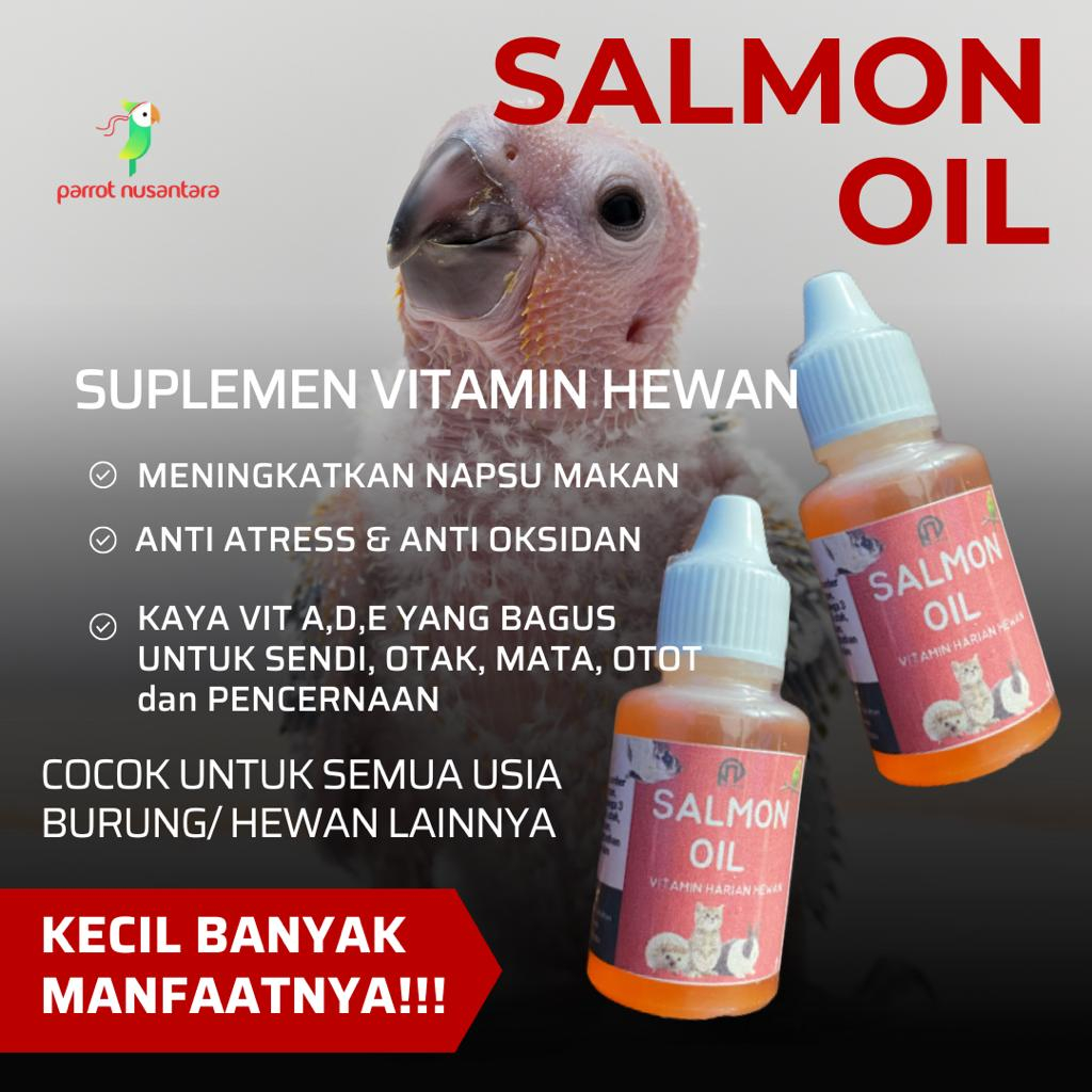 Jual Minyak Salmon / Oil Fish COD Vitamin suplemen Burung Sugar Glider ...