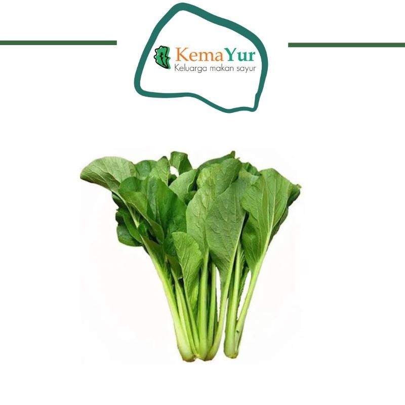 Jual SAYUR SAWI HIJAU SAWI IJO 1 IKAT FRESH | Shopee Indonesia