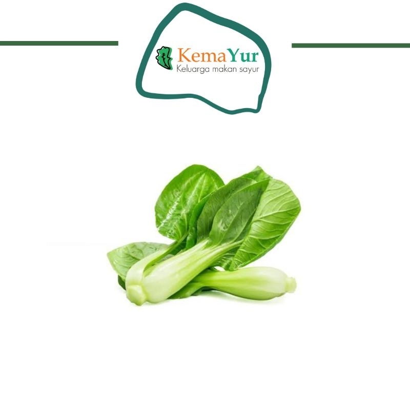 Jual SAYUR POKCHOY PAKCOY POKCAY PAKCHOI 250GR SAWI SENDOK SAWI DAGING ...
