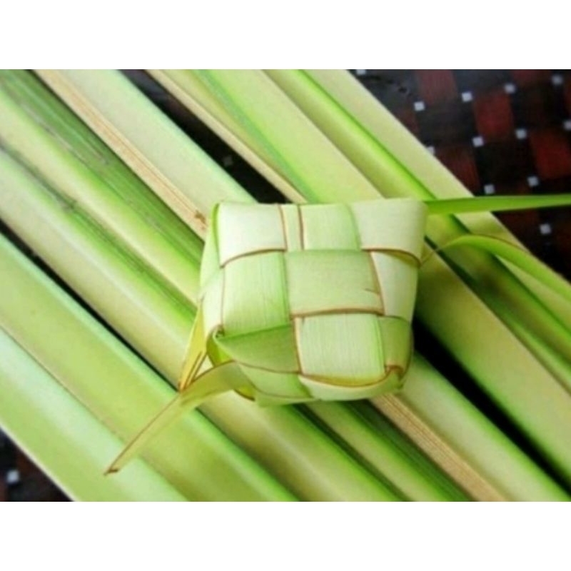 Jual daun kelapa muda/ janur kuning per 30 batang/ lidi | Shopee Indonesia