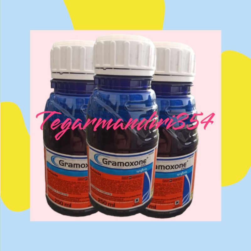 Jual Herbisida gramoxone 250ml | Shopee Indonesia