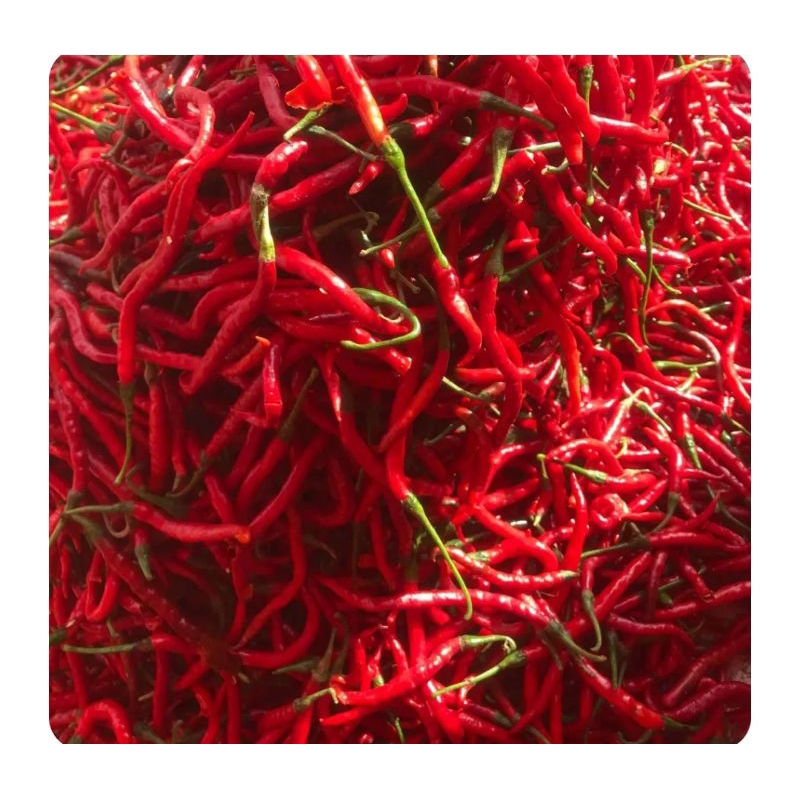 Jual cabe merah 100gr | Shopee Indonesia