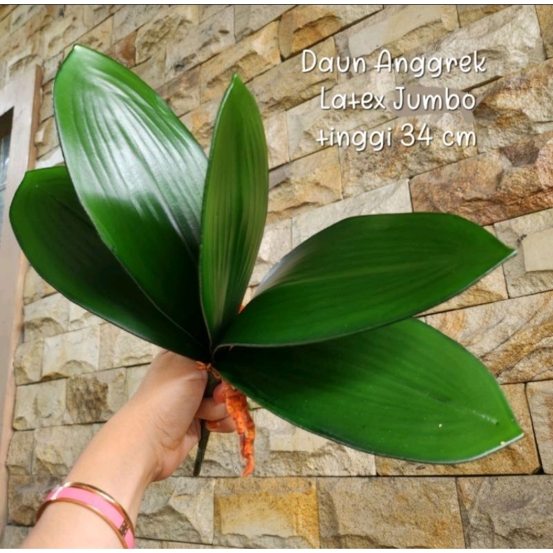 Jual Daun Anggrek Latex Jumbo medium dan kecil Daun Artificial | Shopee ...