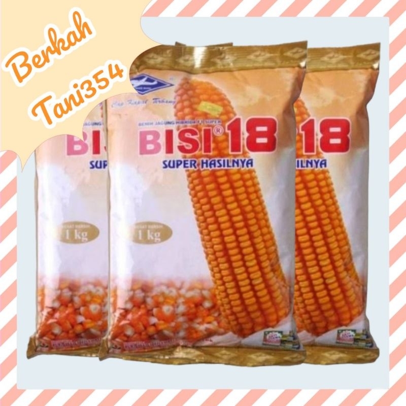 Jual Benih jagung bisi 18 gold 1kg | Shopee Indonesia