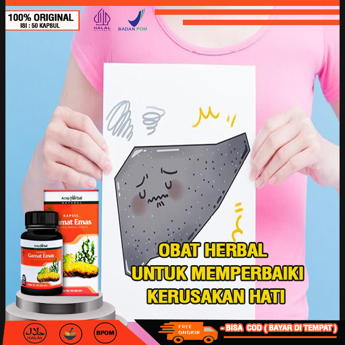 Jual Obat Untuk Memperbaiki Kerusakan Hati, Meningkatkan Kesehatan ...