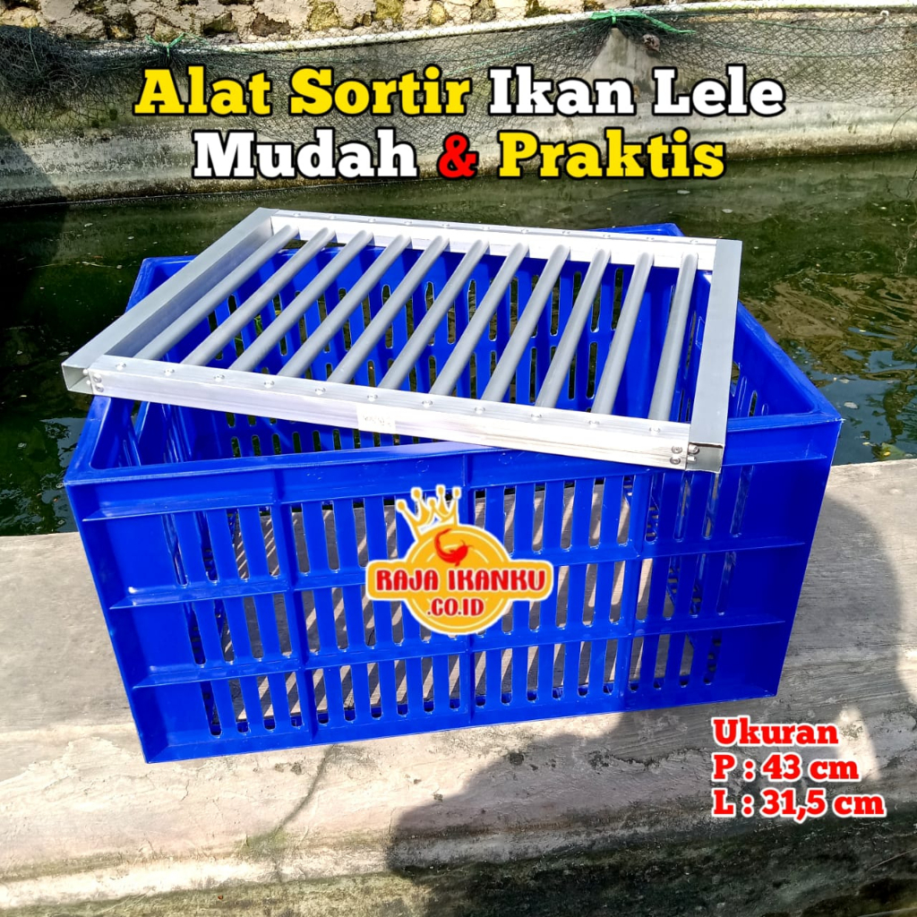 Jual Alat Sortir Ikan Lele Konsumsi Alat Sortir Lele Remaja Alat Sortir ...