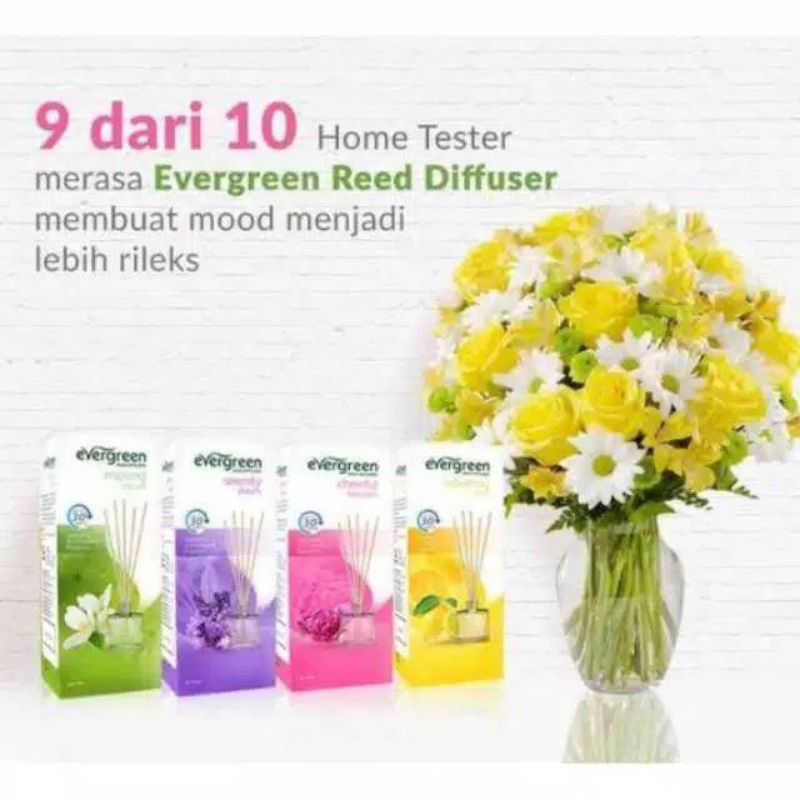 Jual EVERGREEN REED DIFFUSER SET BOTTLE/ PENGHARUM RUANGAN | Shopee Indonesia