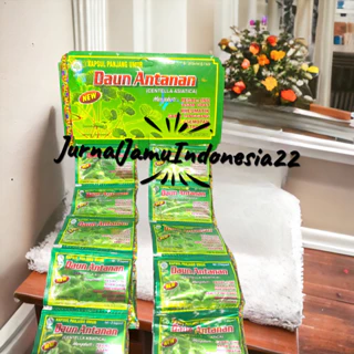 Jual Daun Antanan Terlengkap & Harga Terbaru Mei 2024 | Shopee Indonesia