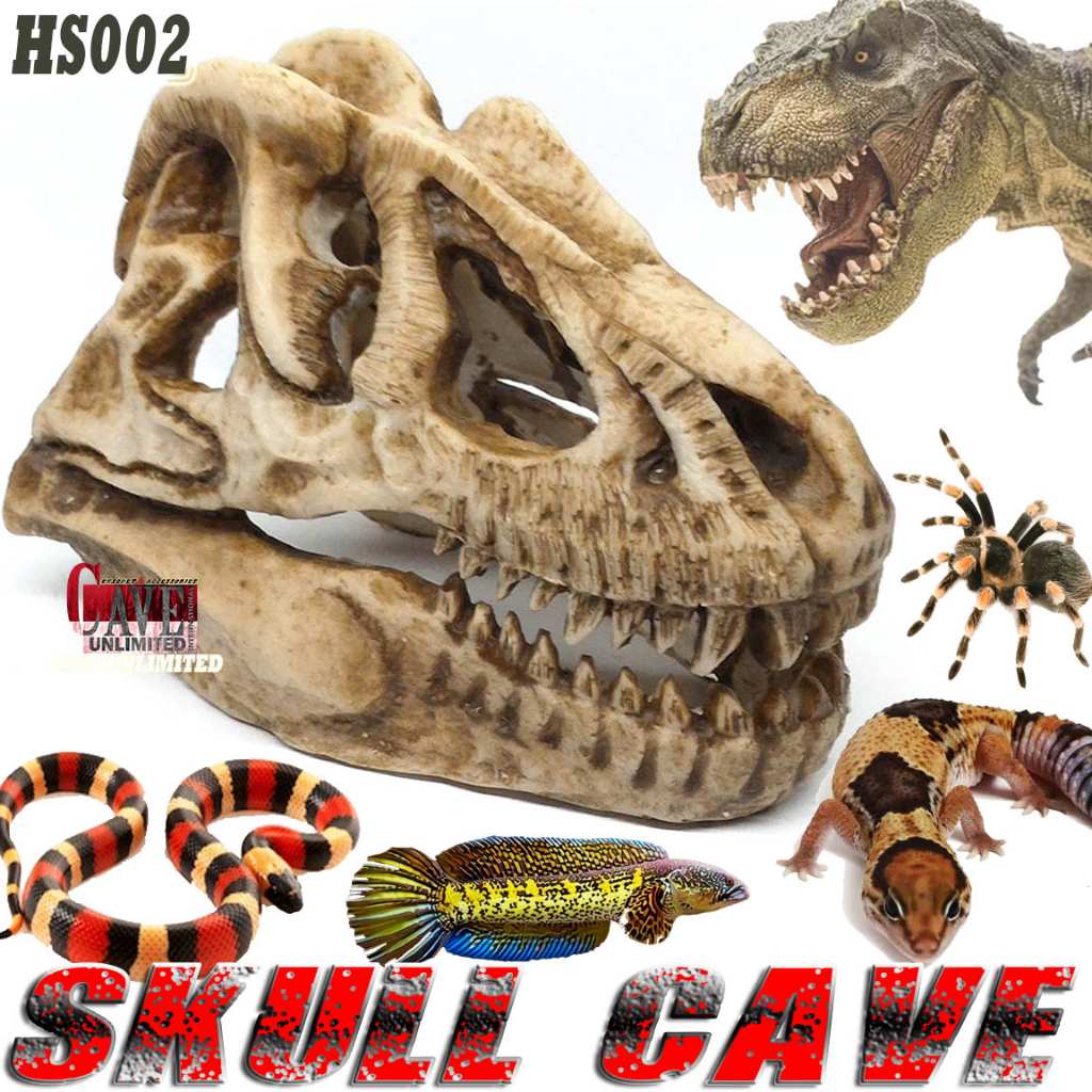 Jual HS002 HIDDING CAVE SKULL KERANGKA TYRANNOSAURUS T-REX DINOSAURUS ...