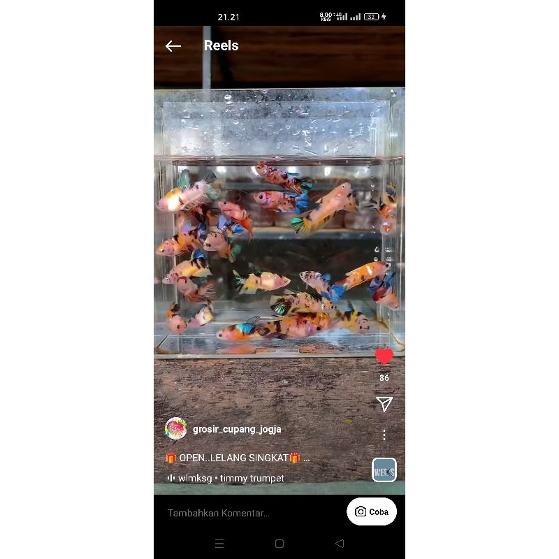 Jual Nemo multi | Shopee Indonesia