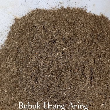 Jual HERBAL BUBUK TERBAIK DAUN URANG ARING / ORANG ARING 1 KG | Shopee ...