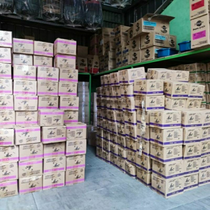 Jual Life cat pouch per box | Shopee Indonesia