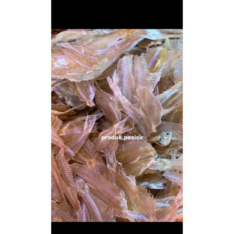 Jual Kalapan/ Pakang Tawar Gurih 1 kg | Shopee Indonesia